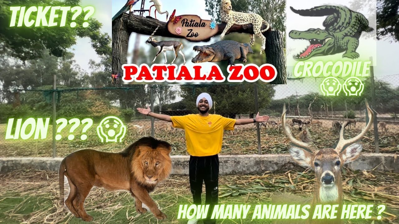 Animals in PATIALA Zoo ?😱😱 || TICKET??? #vlog #armed_warrior - YouTube