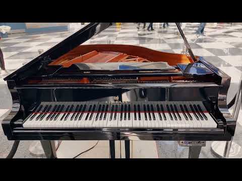 ONAR MISRA-YAŞAR NABİ NAYIR