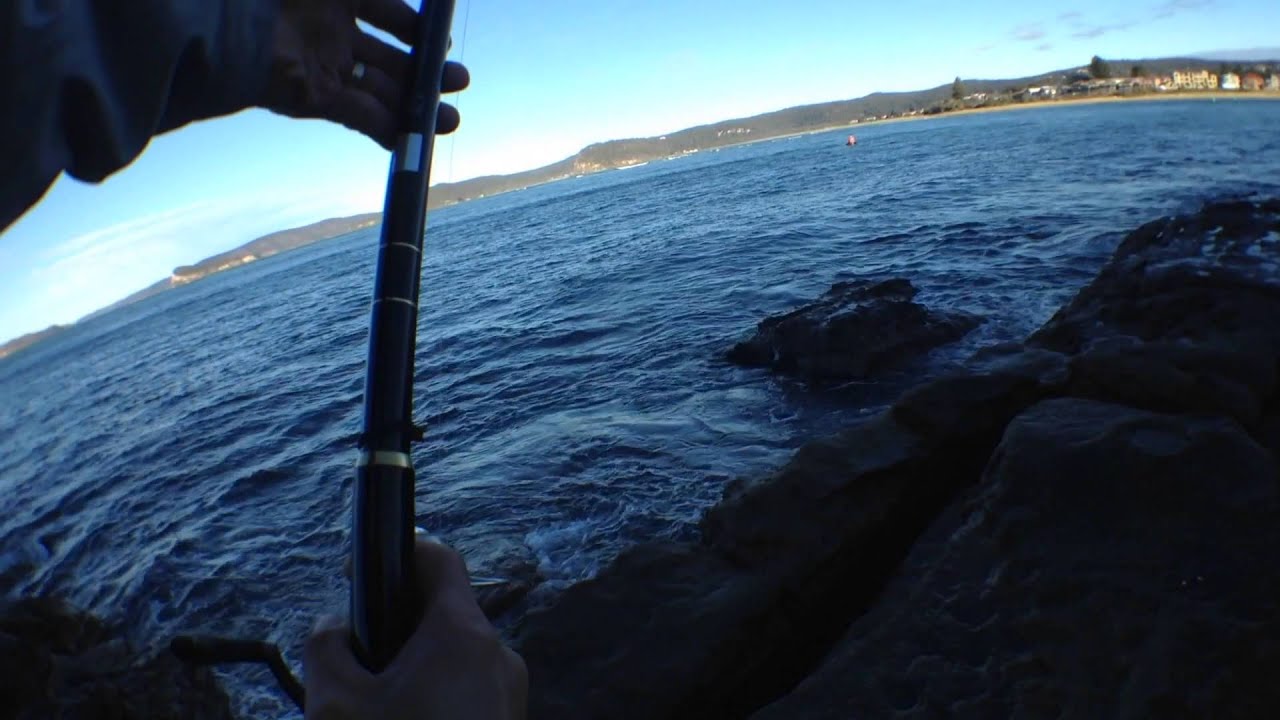 Iso Fishing at Half Tide Rocks (Central Coast) - YouTube