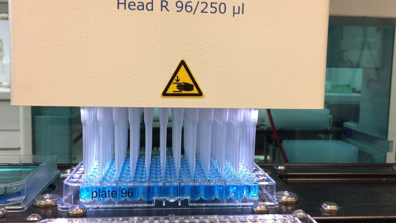 Analytik Jena CyBio Felix liquid handler prefilling a 96 well plate ...