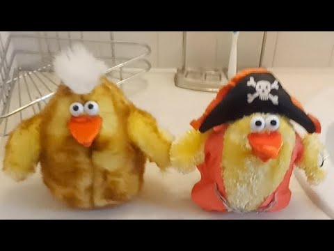 DanDee Chicken Small Collection - YouTube