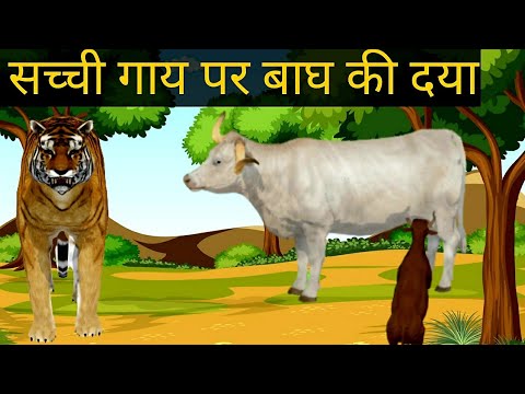 सच्ची गाय की जीत -victory of true cow(@Drumbel224 .. - YouTube