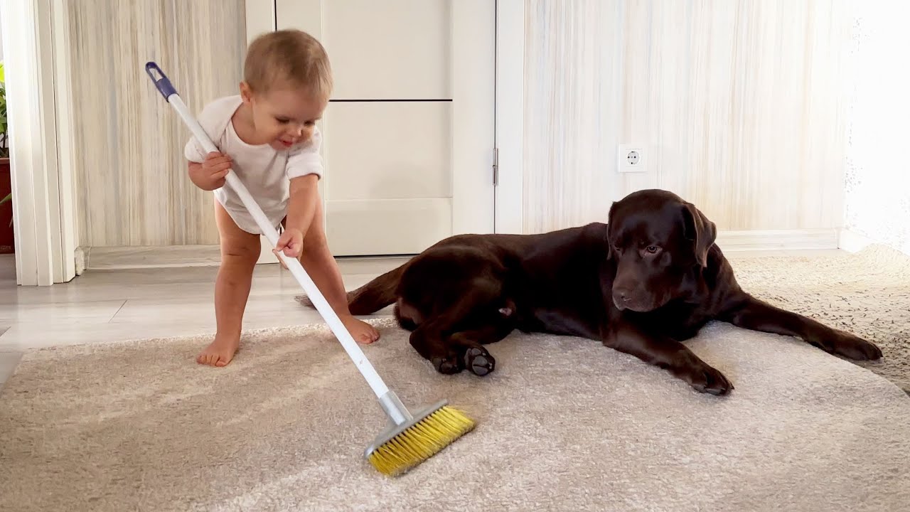 How Adorable! Baby Teaches His Dog How to Clean Up His Mess - YouTube