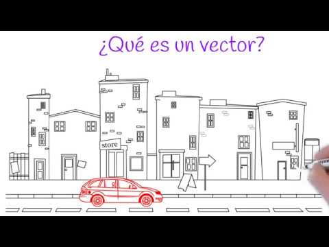 VECTORES explicación animada - YouTube