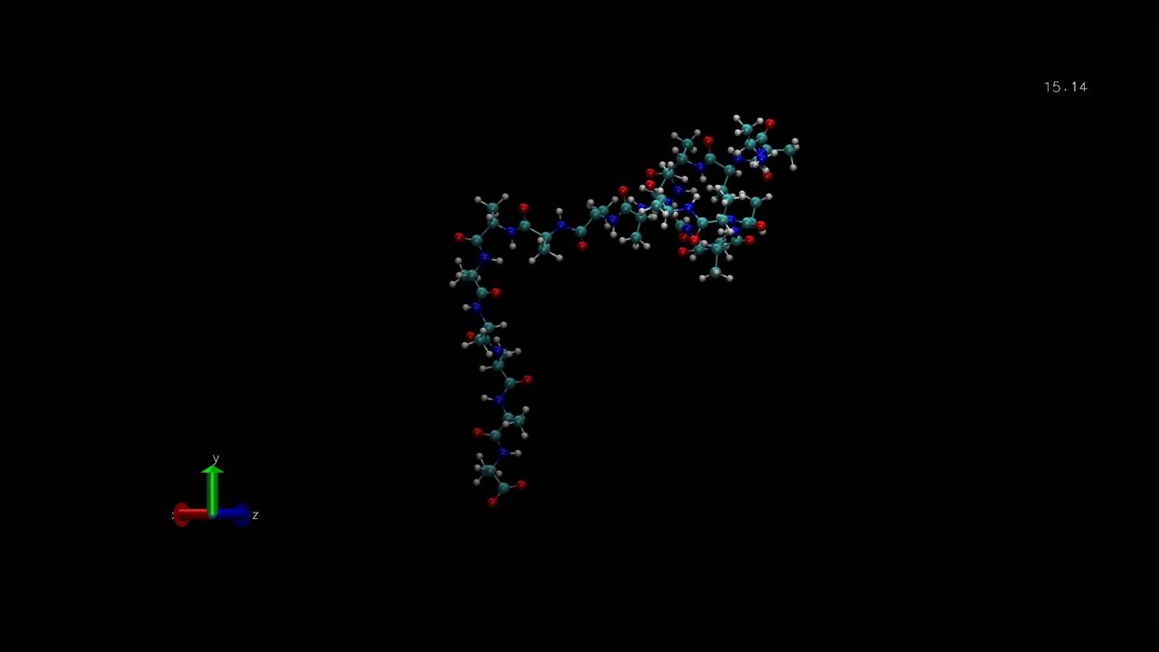 Monte Carlo Simulation of Polypeptide Chain Folding - YouTube