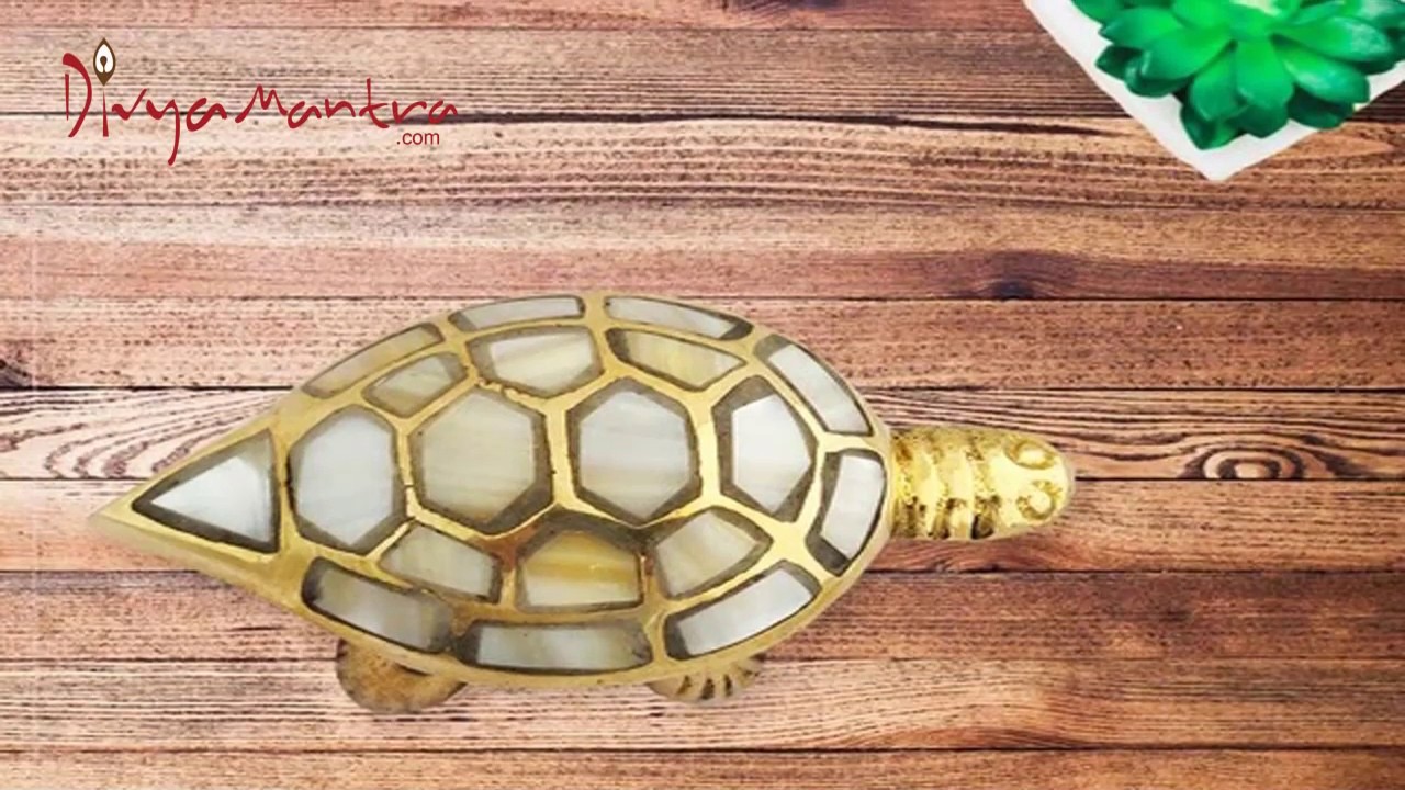 Chinese Feng Shui Brass Turtle, Wish Fulfilling Seap Tortoise with ...