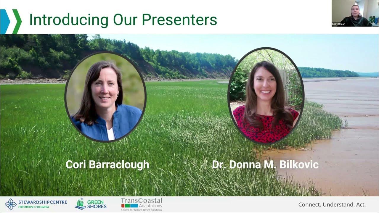 Green Shores Webinar: Applying Nature-Based Solutions on the Foreshore ...