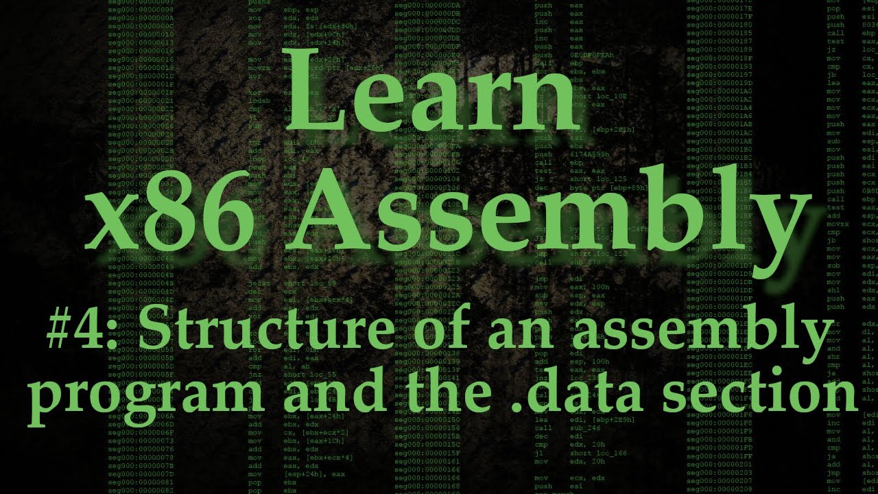 Assembly 4: General structure of a program and the .data section - YouTube