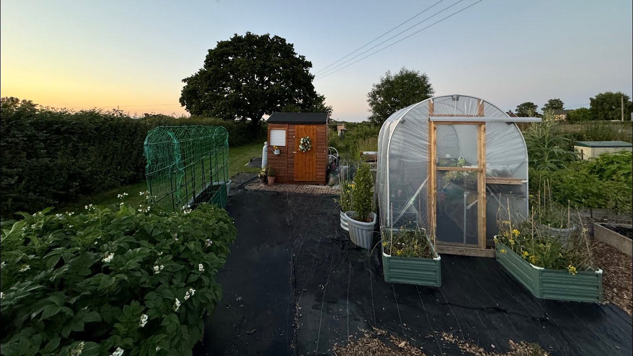 EP 59: A New Frame For Beans and Peas That Hopefully Won’t Collapse In ...