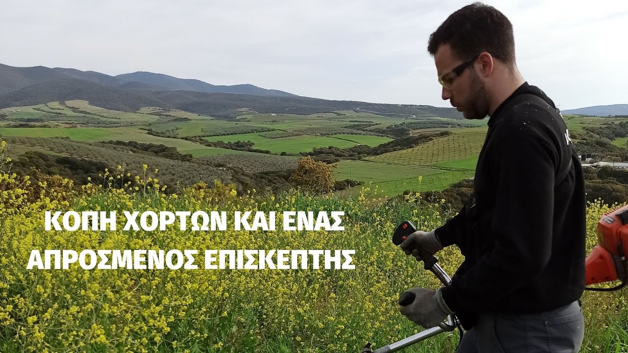 Κόψιμο χόρτων με χλοοκοπτικό - YouTube