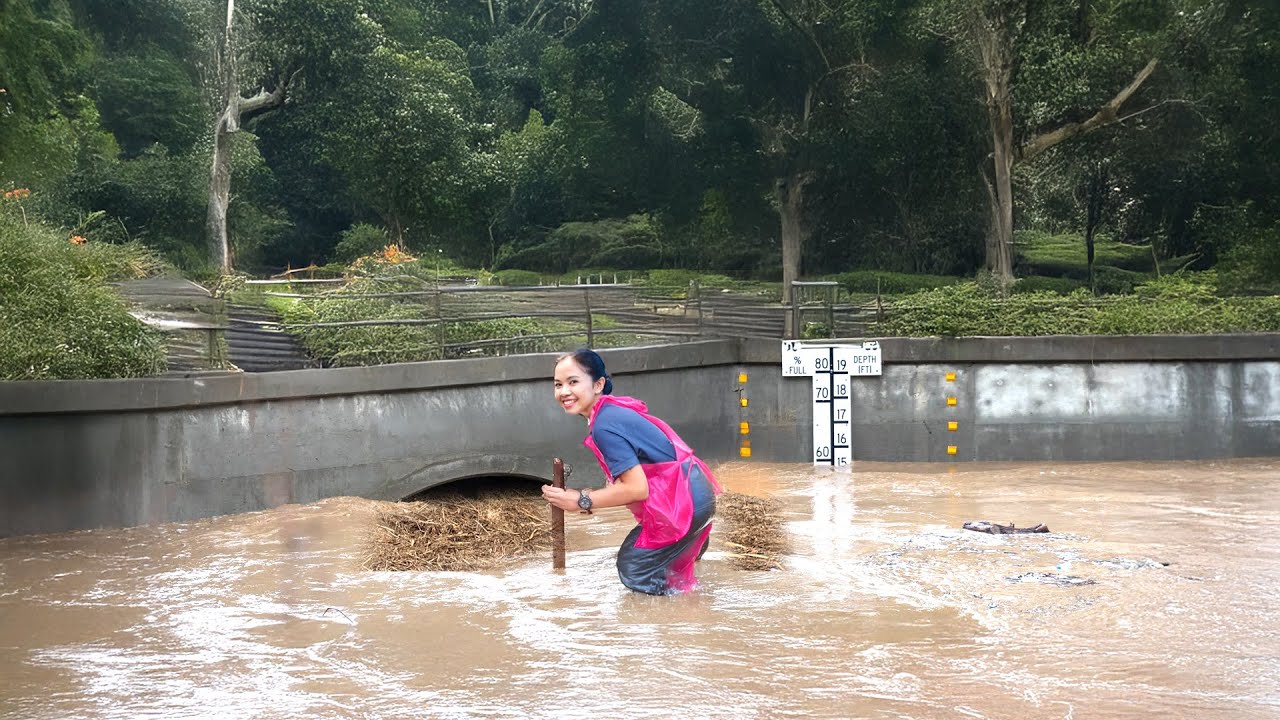 Unblocking the Beast Cleaning a Massive Culvert Drain - YouTube