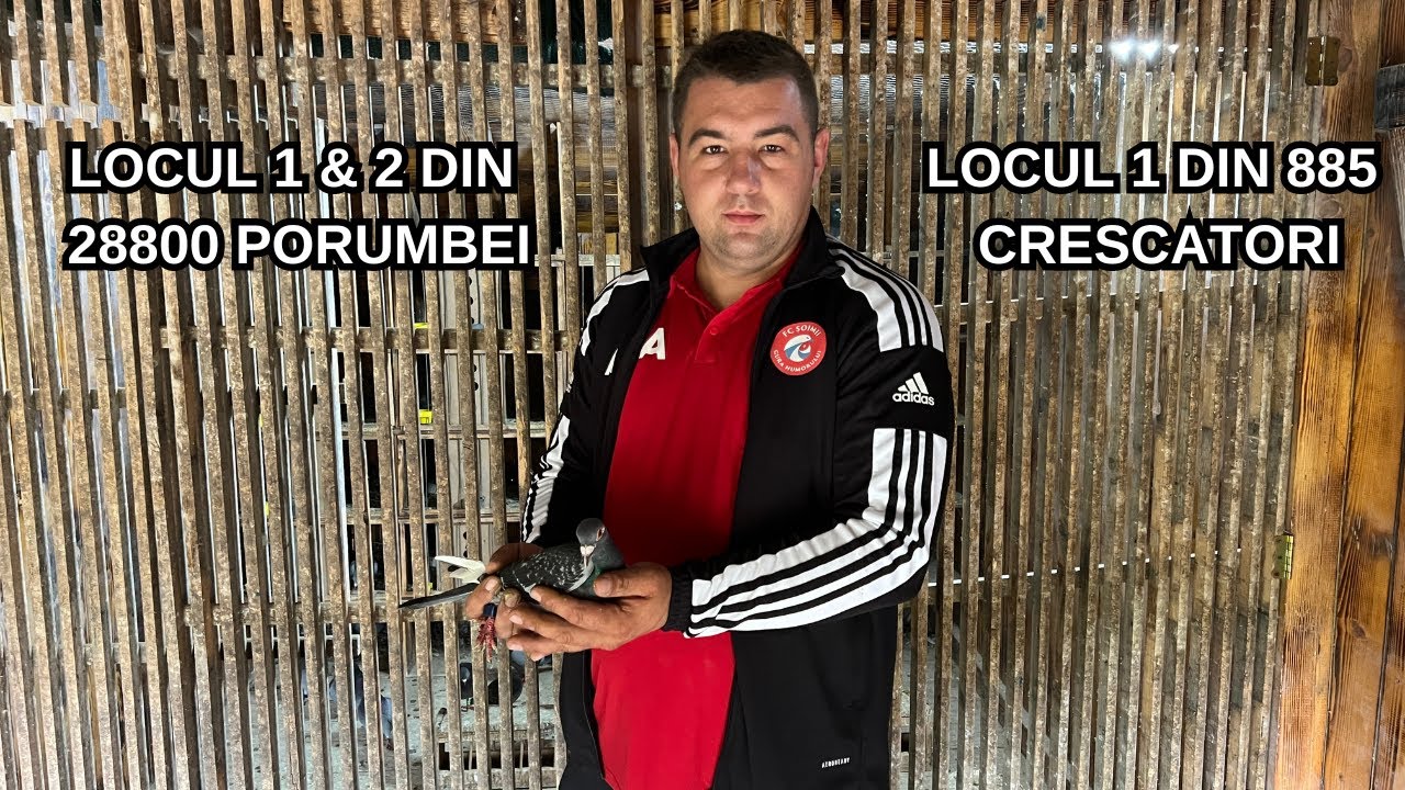LOCUL 1 & 2 DIN 28800 PORUMBEI & LOCUL 1 CRESCATOR! ADOMNITEI ADRIAN ...