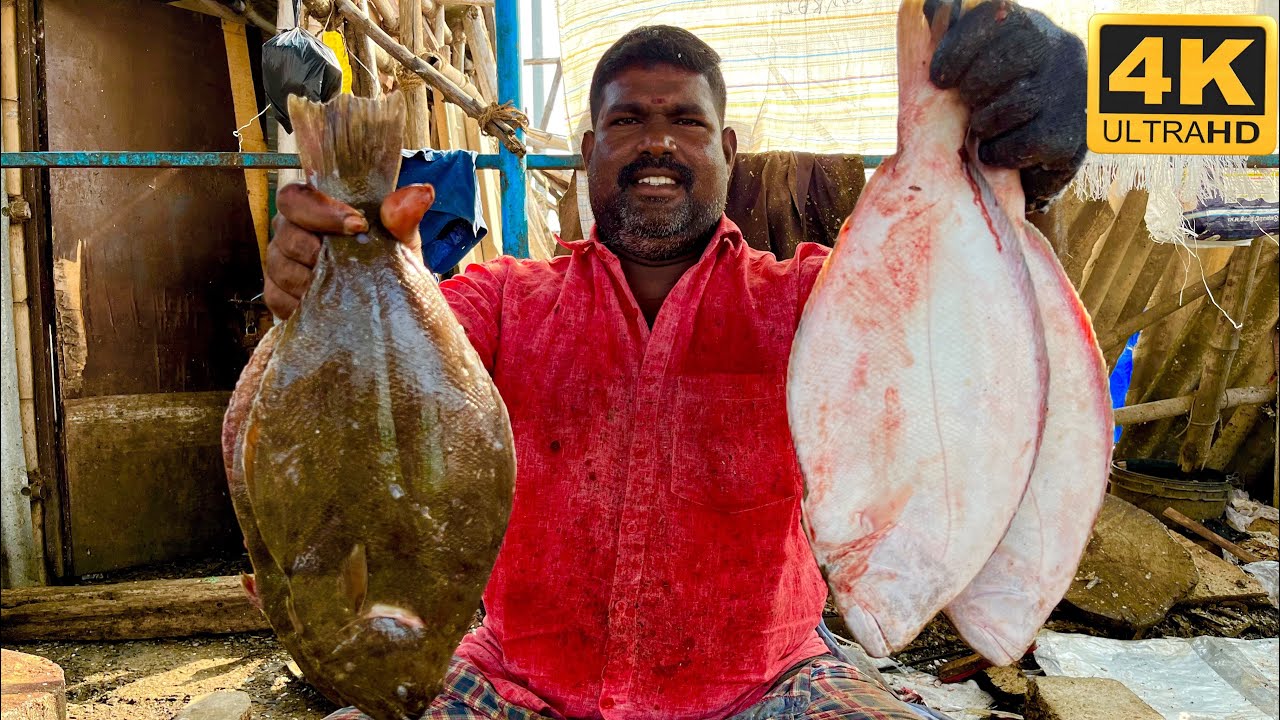 Naakku Meen/Seruppu Meen cutting video/Fishcuttingrs #fishcuttingrs # ...