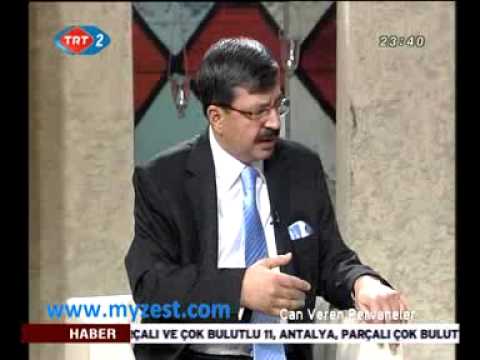 Can Veren Pervaneler - [13.02.2010]
