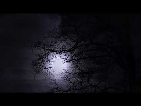 Spooky Horror Sounds | 10 Hours of Scary Music | Perfect for Halloween or Scary Events