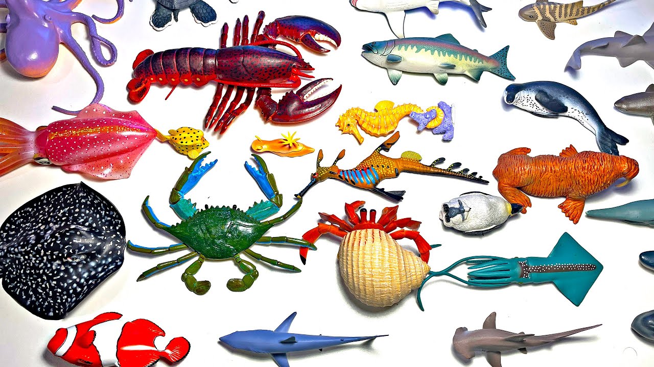 40 Beautiful Sea Animals - Shark, Whale, Dolphin, Crab, Lobster, Seal ...