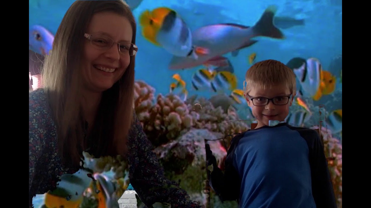 Finn the Fish Interview - YouTube