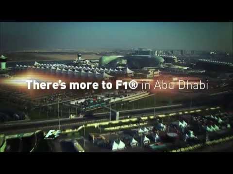 2013 F1 ETIHAD AIRWAYS ABU DHABI GRAND PRIX