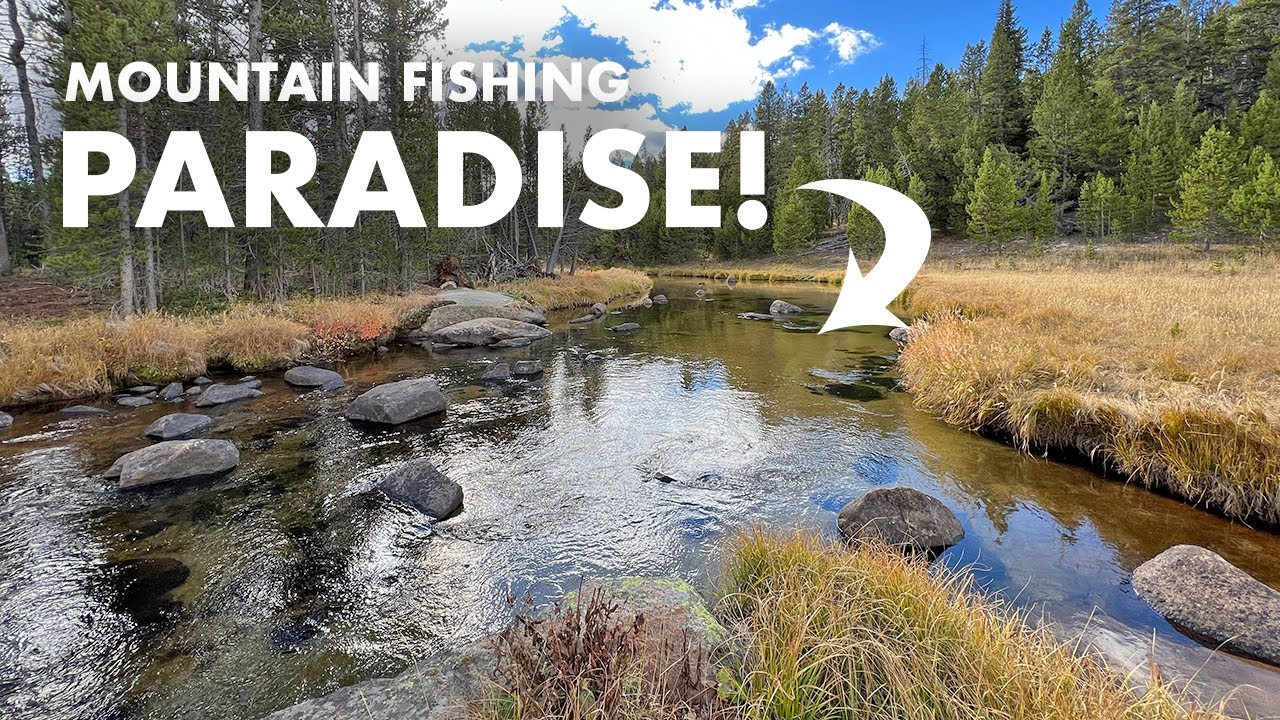 Fishing a Gorgeous Mountain Stream—and Catching a Lot of Fish! (Tenkara ...