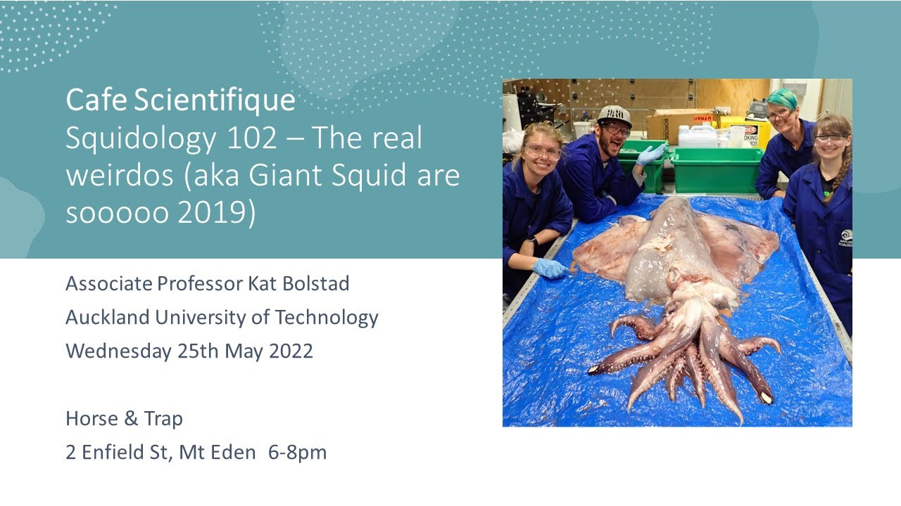 Café Scientifique: Squidology 102 – the real weirdos (May 2022) – A ...