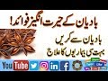 Badian Phool ke Fawaid | Badiyan Ka 10 Hairat Angez Fawaid | Anise Seed ...