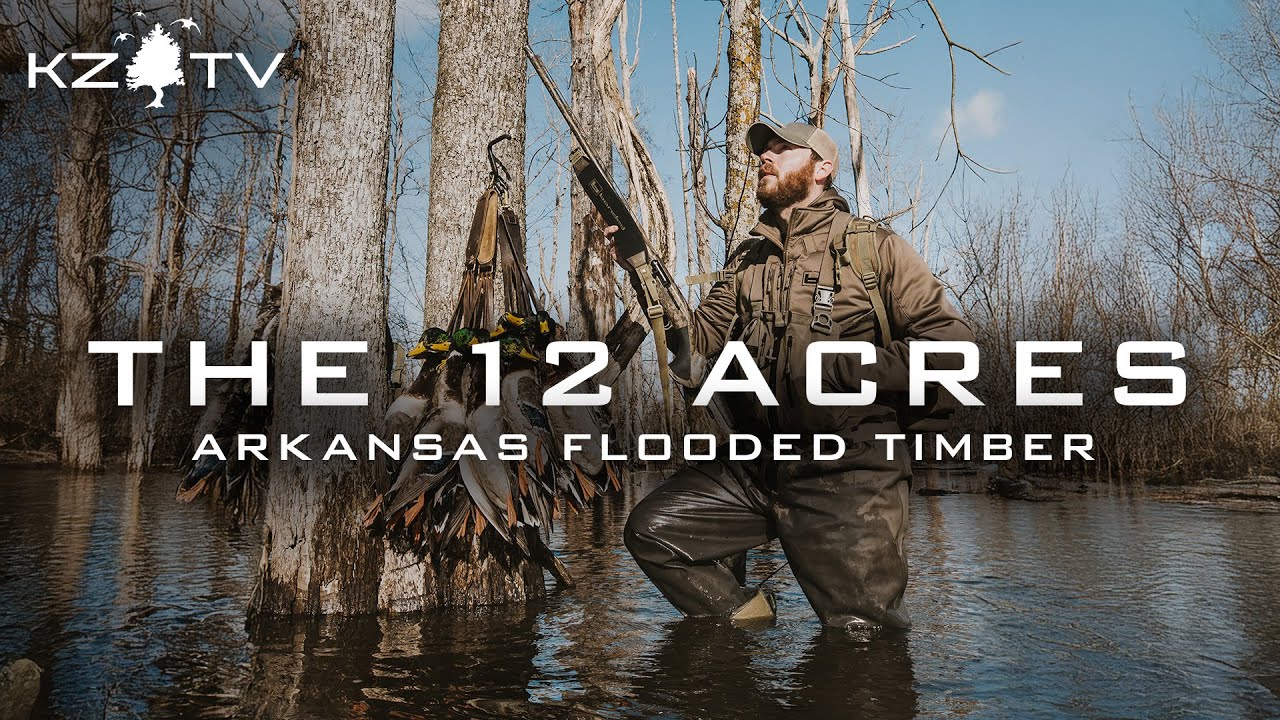 Mallards In The Flooded Timber!! (Arkansas Deadwood Hunt) K Zone TV ...