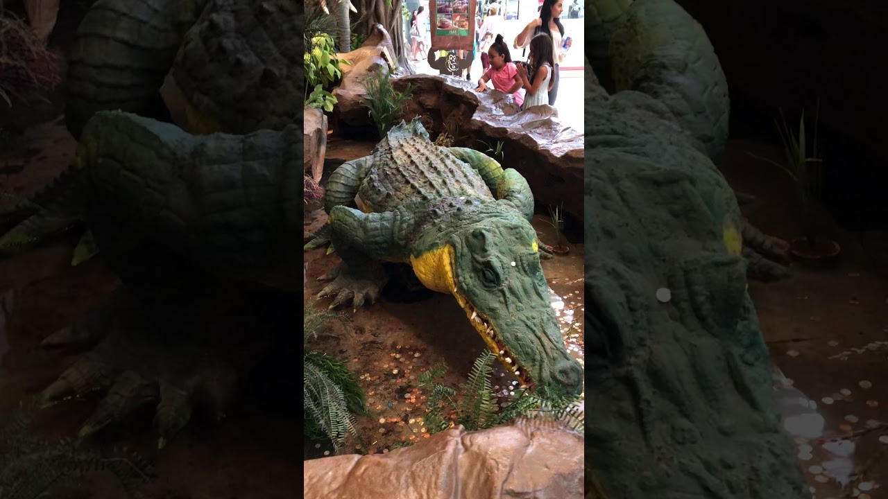 Robot Alligator - YouTube