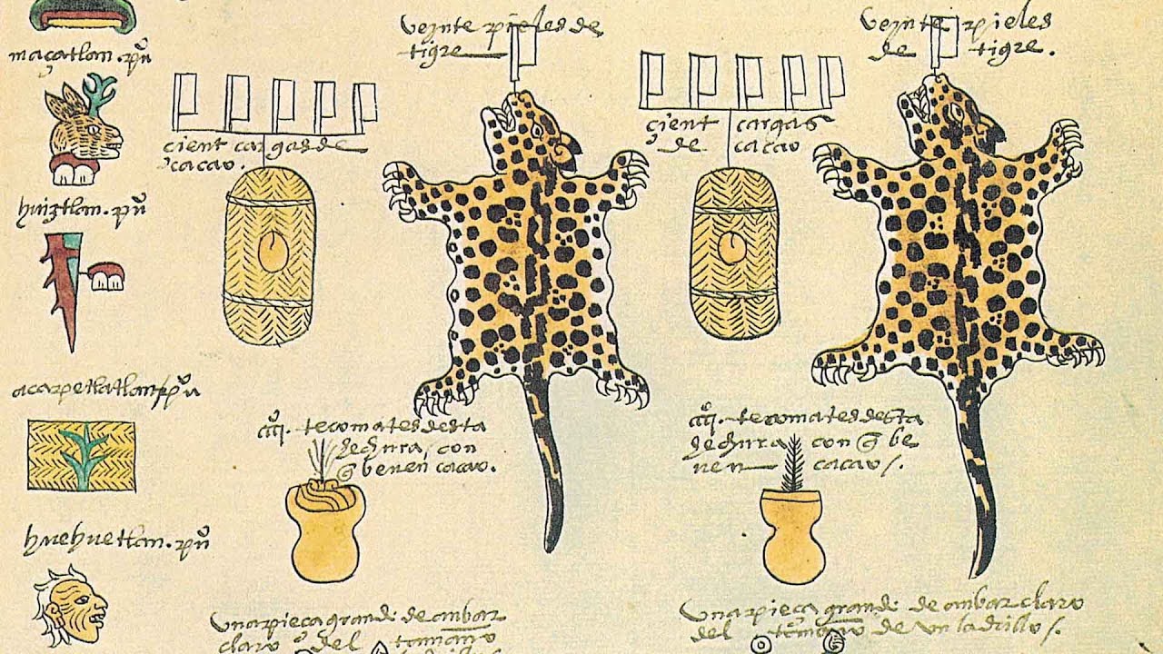 HOW TO READ AN AZTEC TEXT: CODEX MENDOZA, CHAPTER 2 OF 2 - Native ...