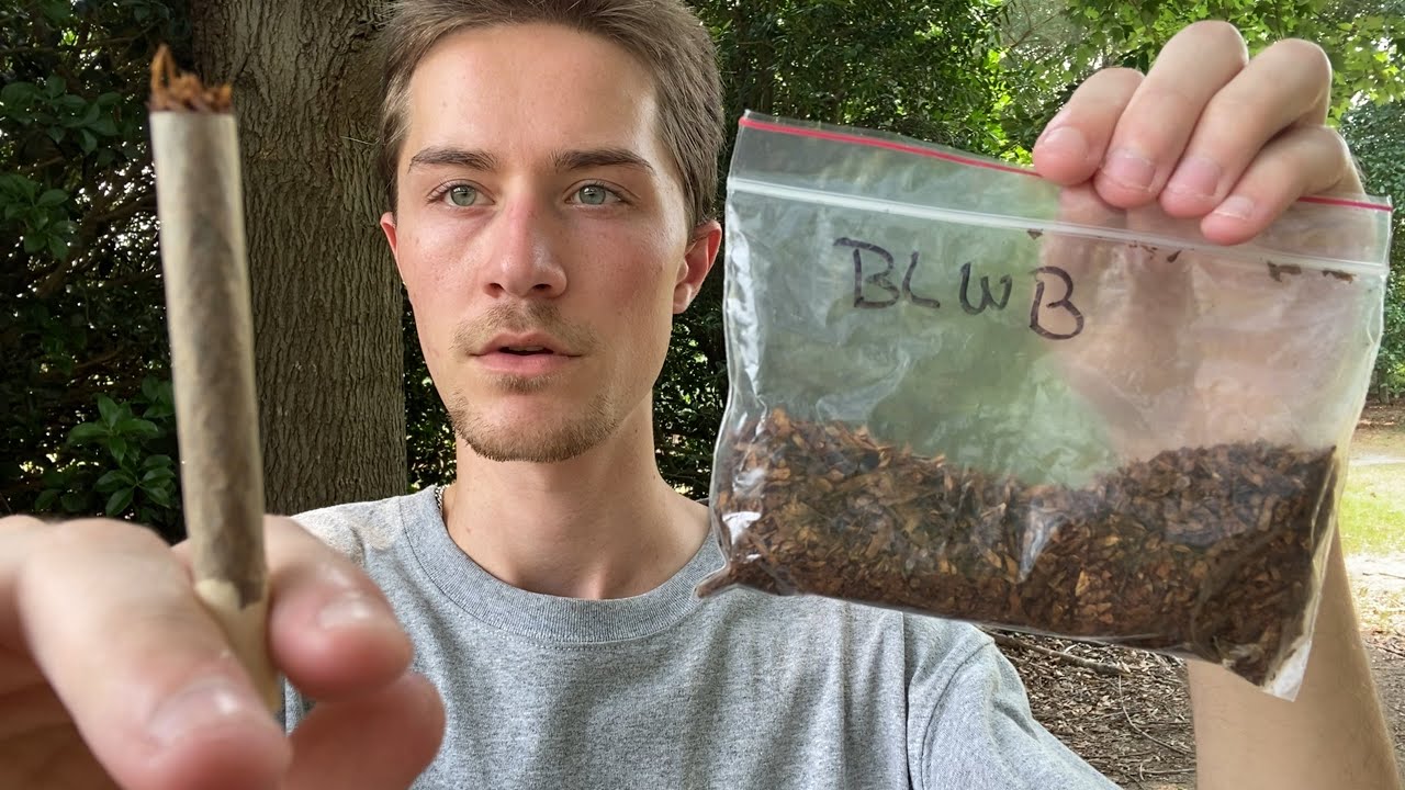 I Rolled a Cigarette with $5 AROMATIC PIPE TOBACCO and Smoked It - YouTube