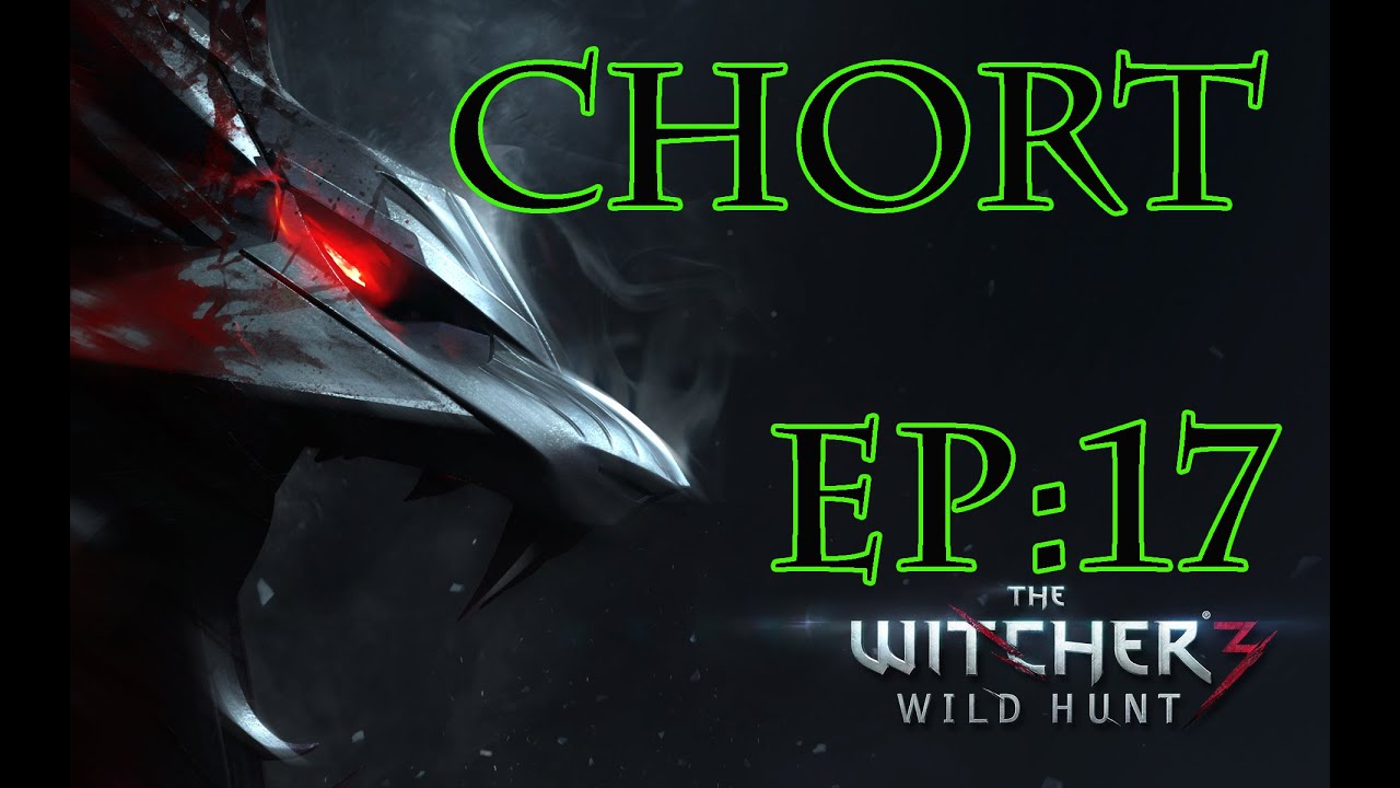The Witcher Wild Hunt - EP17 - Super Chort 60FPS/1080p HD Let's Play ...