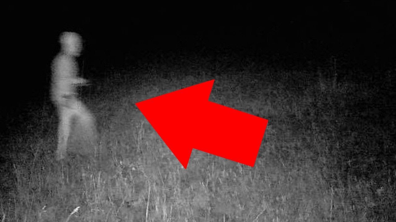 Most TERRIFYING Creatures EVER Caught On Trail Cameras - YouTube