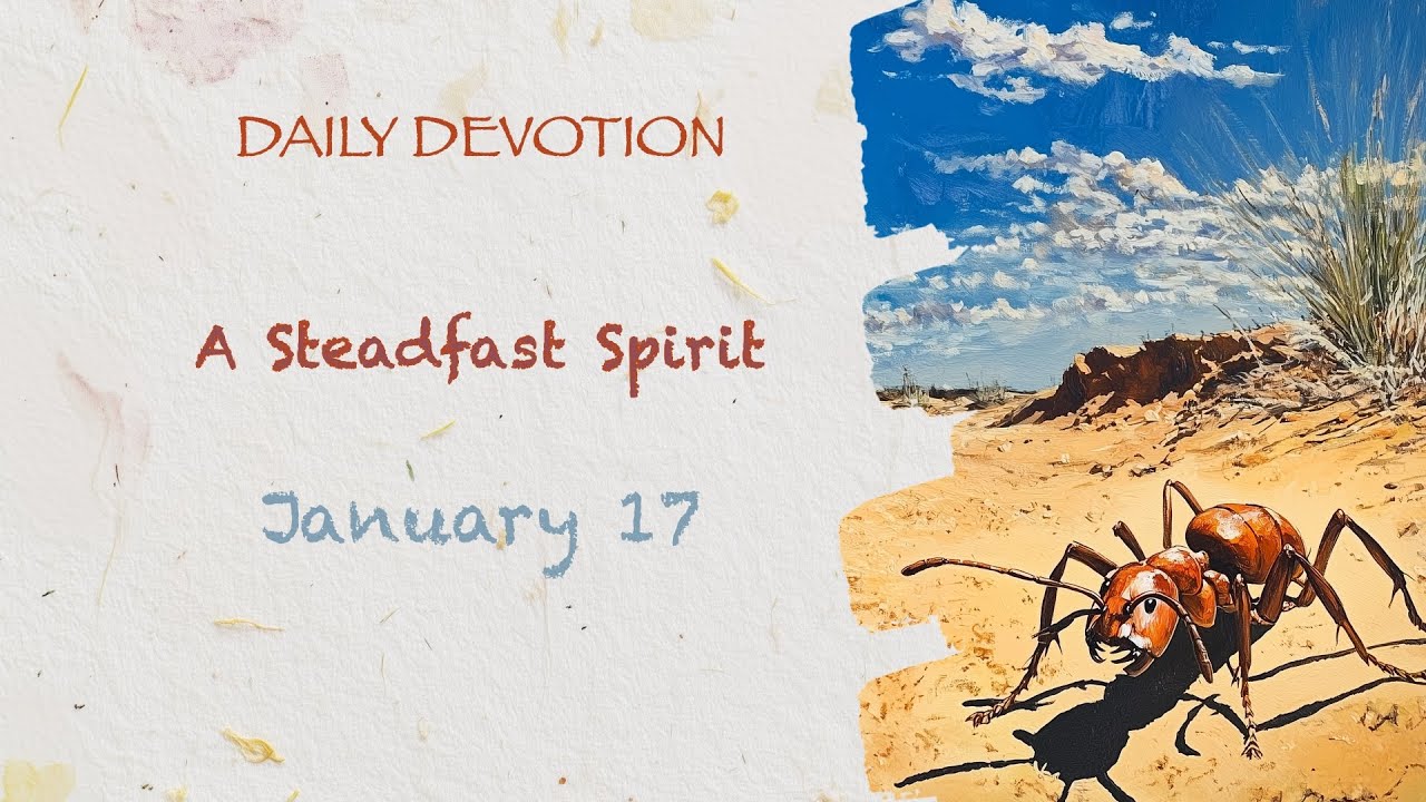 Divine Wisdom: Lessons from the desert ant - Daily Devotional (January ...