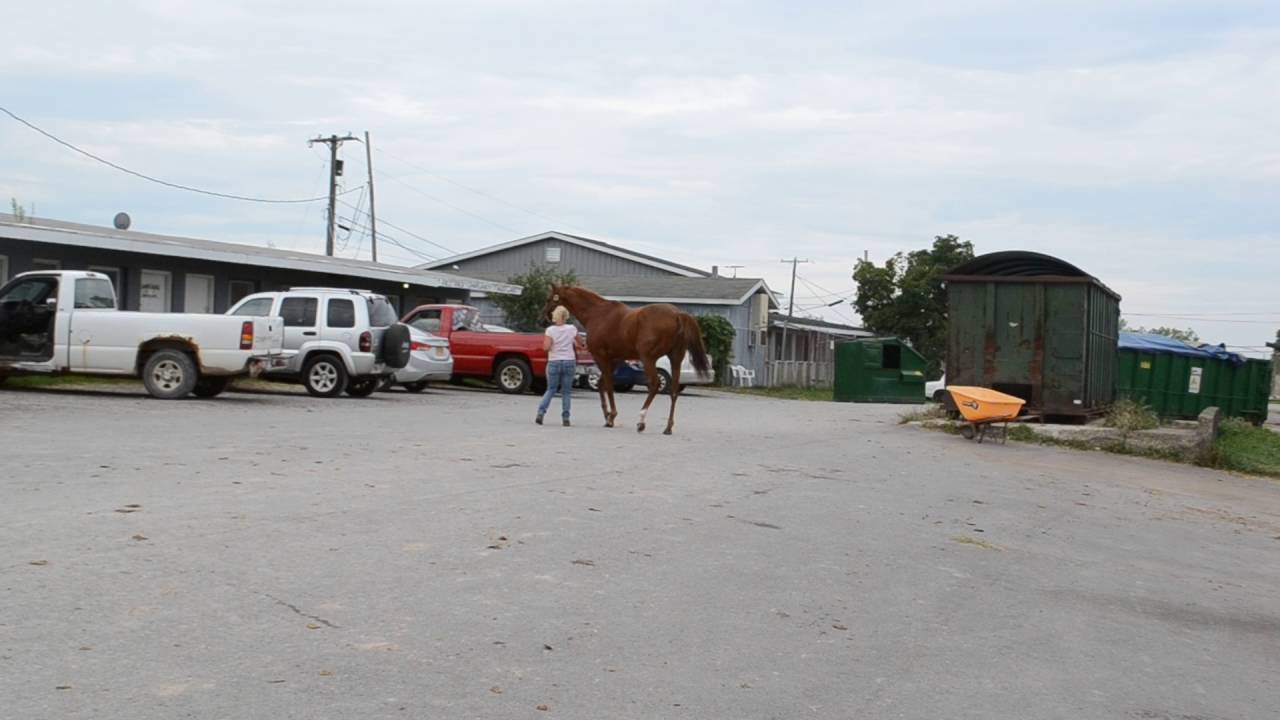 Wiseman Jack - YouTube