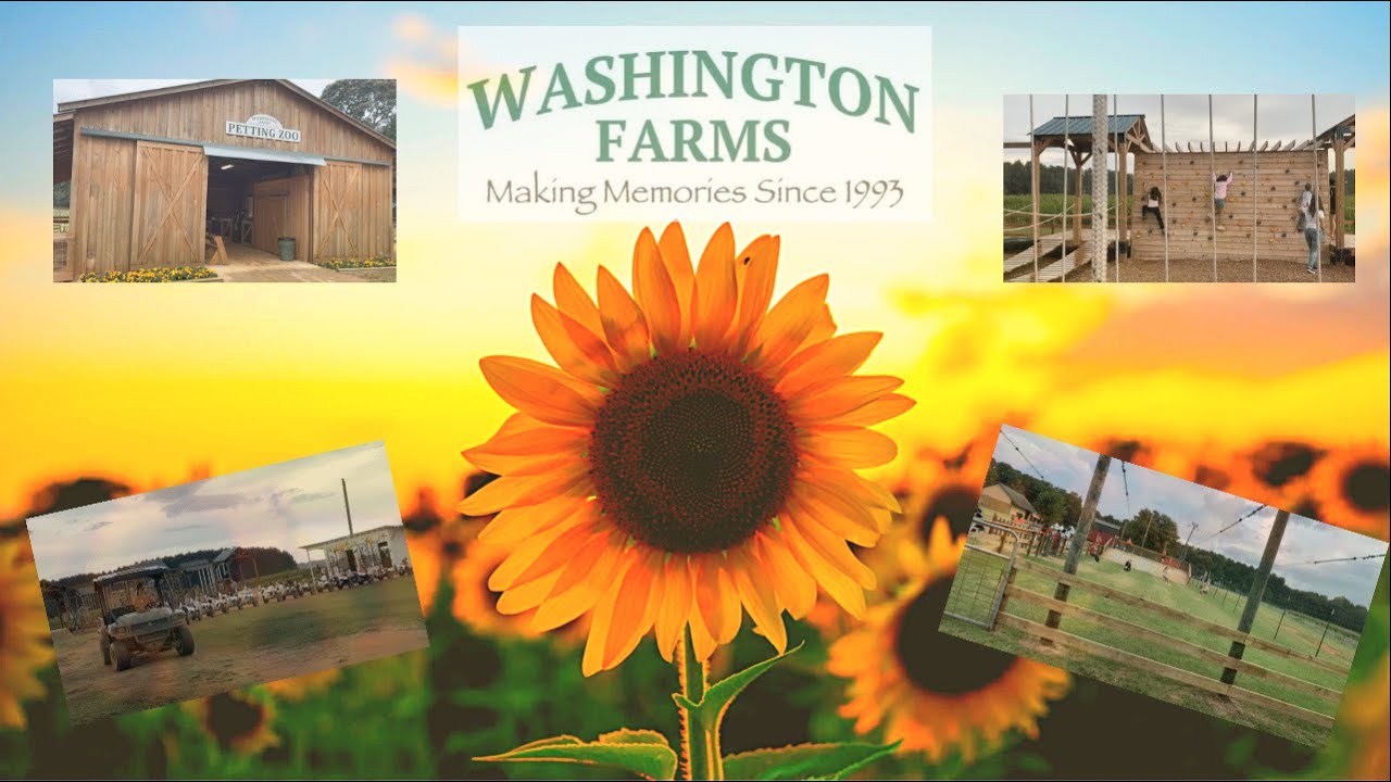 Washington Farms October 2021 - YouTube