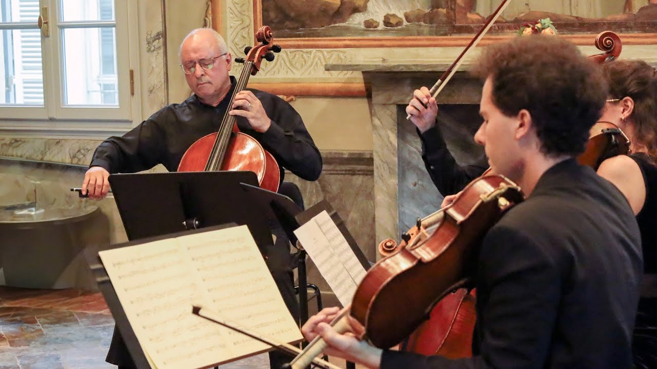 Omaggio a Cremona. Intervista al Maestro Antonio Meneses - YouTube