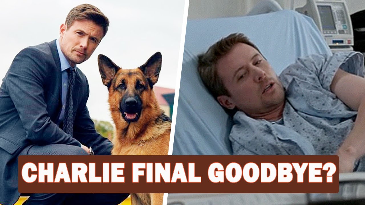 Hudson & Rex Season 7 Finale: Charlie Hudson SHOT & Missing! Is This ...