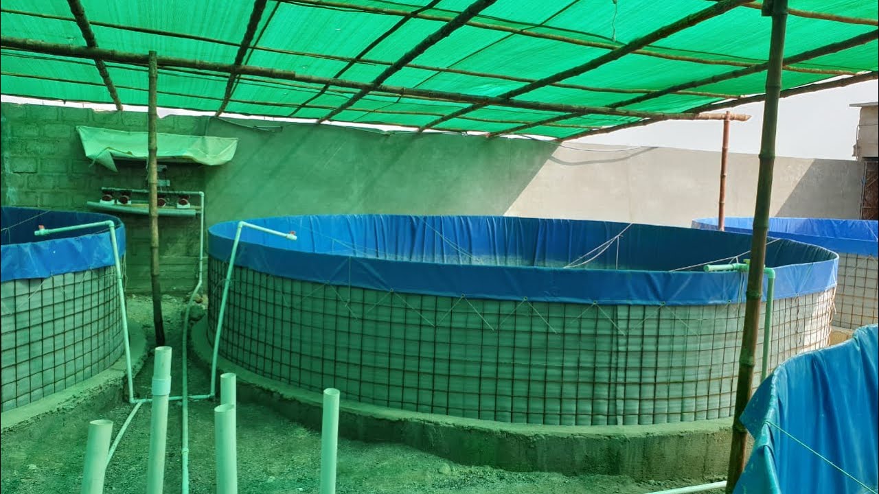 Biofloc / Installation of aeration system / #biofloc #fish # ...