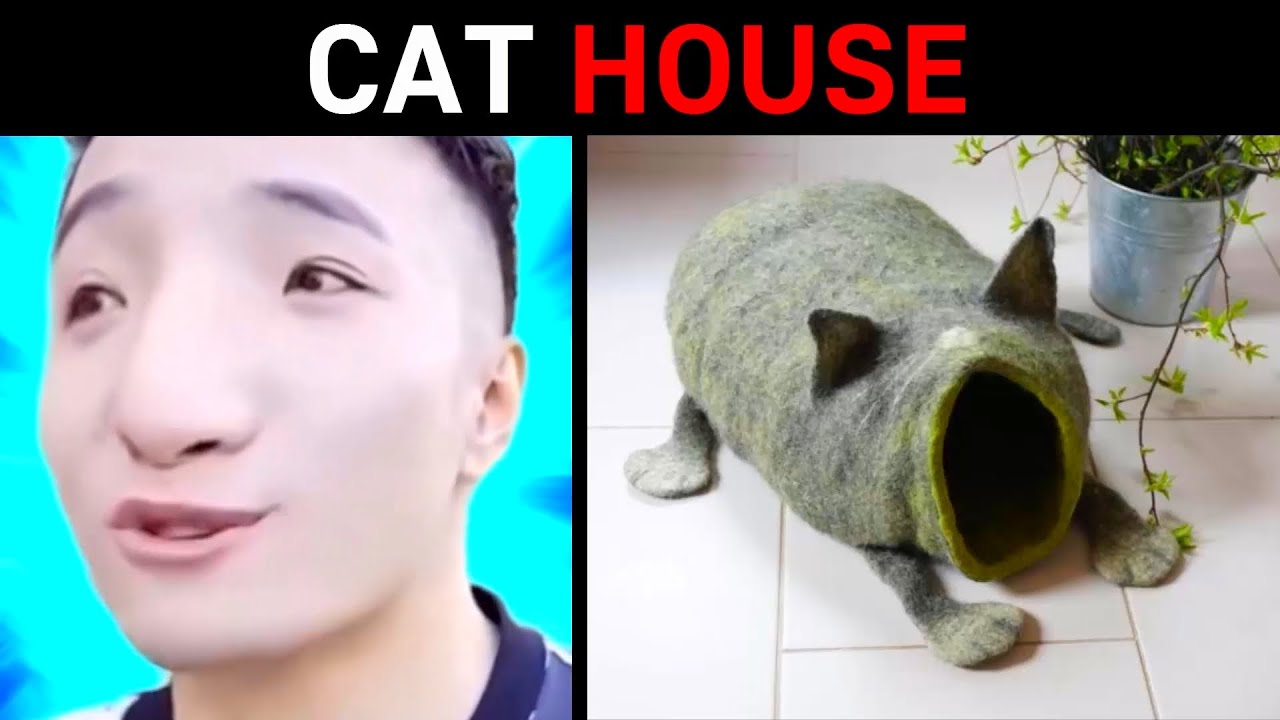 Super Idol Becoming Canny (Cat House) - YouTube