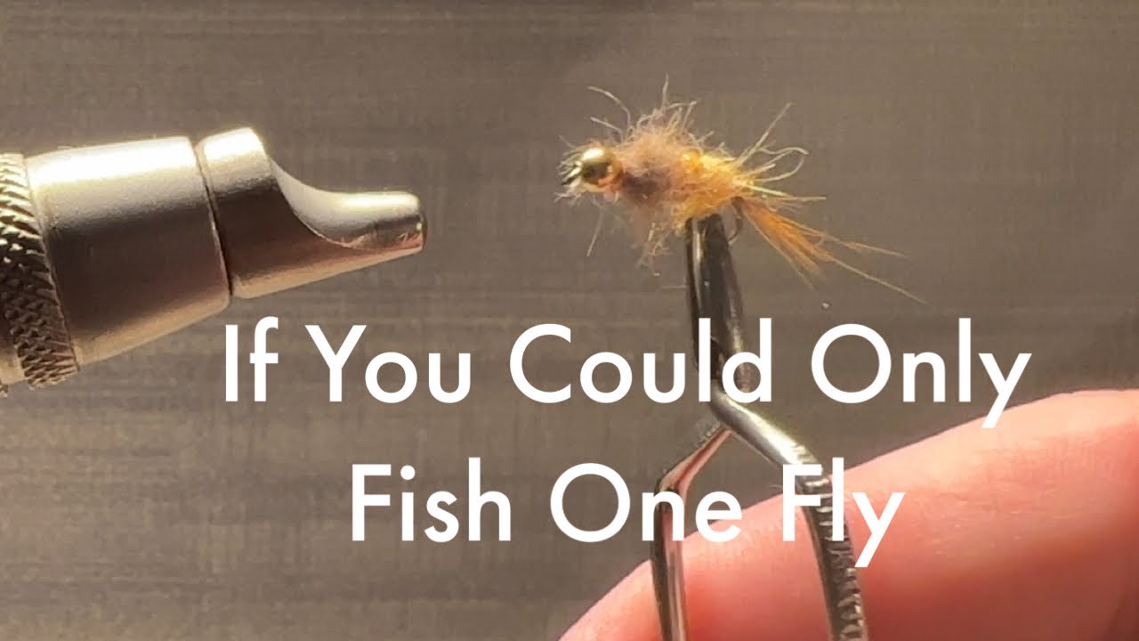 Red Fox Squirrel Fly Pattern for Fly Fishing - YouTube
