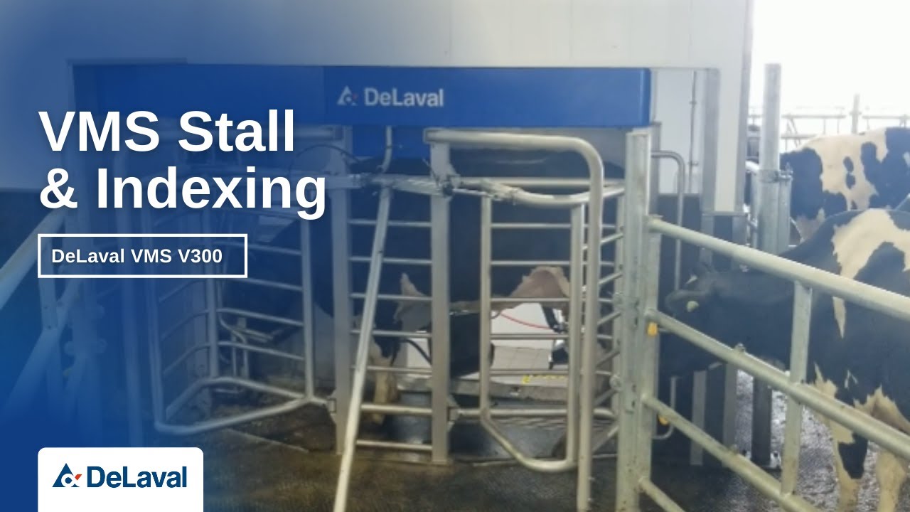 VMS V300 Stall and Indexing - YouTube