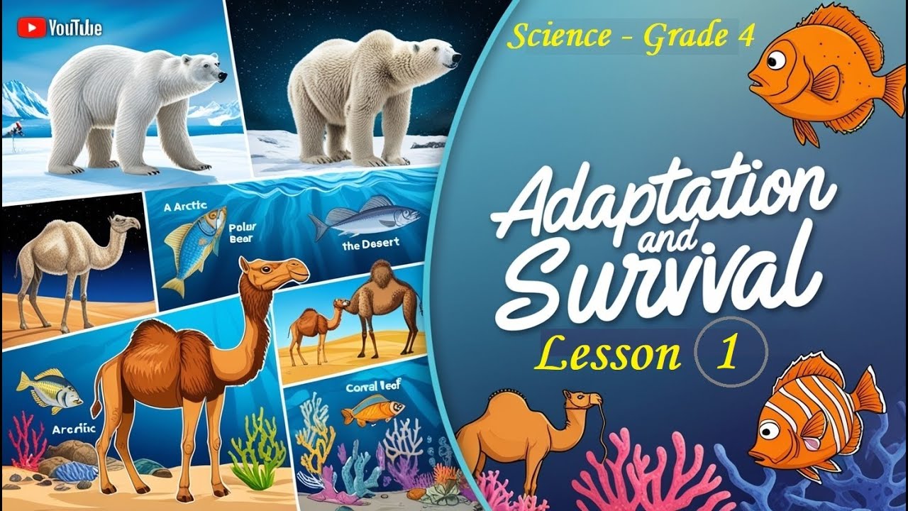Science | Grade 4 | Adaptation and Survival | Lesson 1 | Concept 1 Unit ...