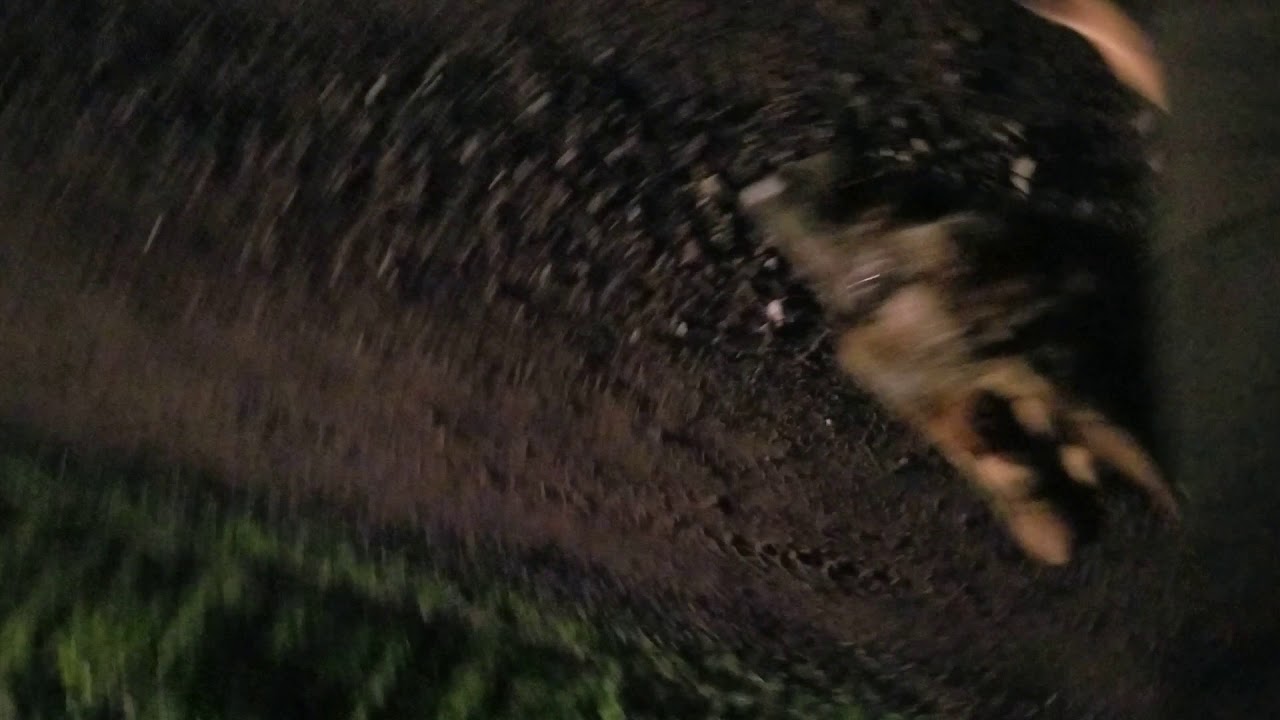 2019 Wisconsin national rainbow gathering - YouTube