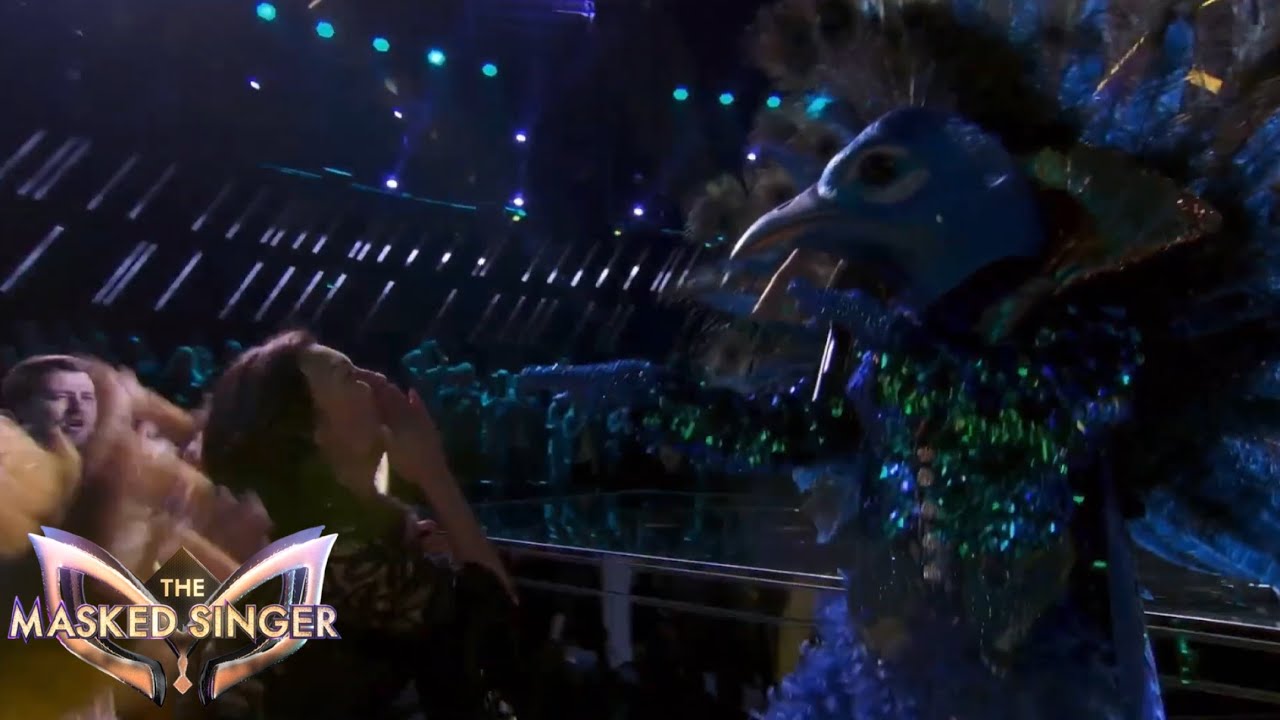Peacock singing “Let’s Go“ by Calvin Harris ft. Ne-Yo/ THE MASKED ...