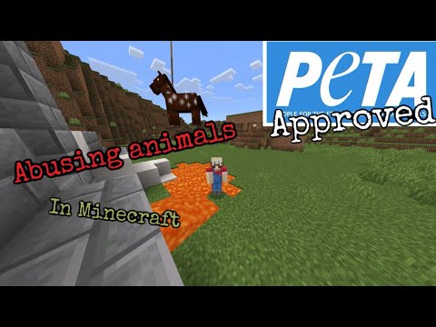 Abusing Animals / in Minecraft. - YouTube