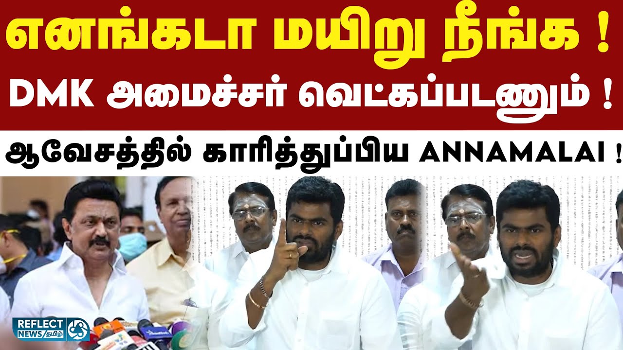 DMK அமைச்சர்களை ஒருமையில் கிழித்த Annamalai ! | DMK | MK Stalin | BJP ...