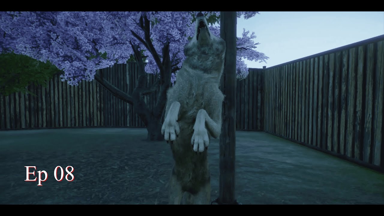 Jumping Wolves and Lots More Babies! Planet Zoo Genetics Challenge | Ep ...