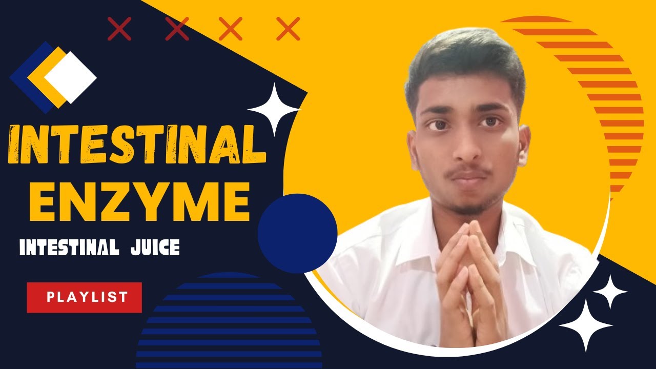 Intestinal enzymes | Intestinal juice | digestion and absorption | Part ...