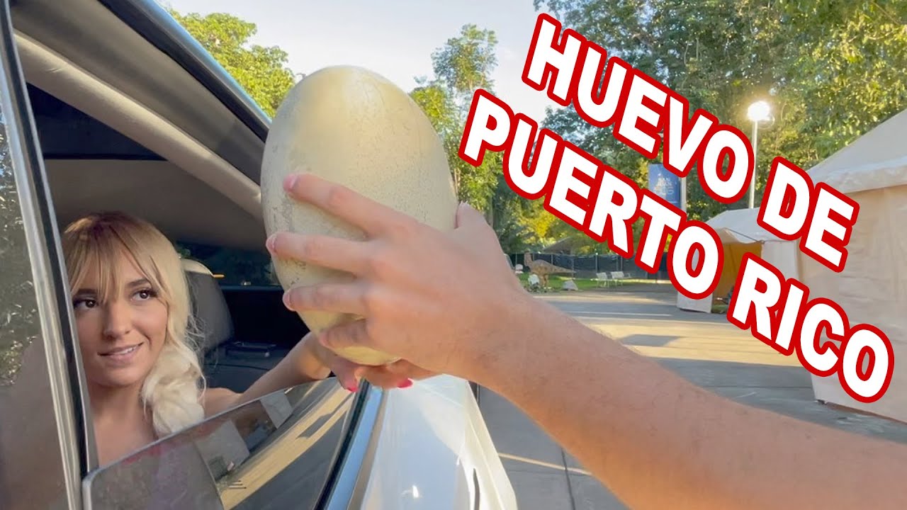 Visitamos Los Dinosaurios Puertorriqueños Barbie Rican y Jamsha - YouTube