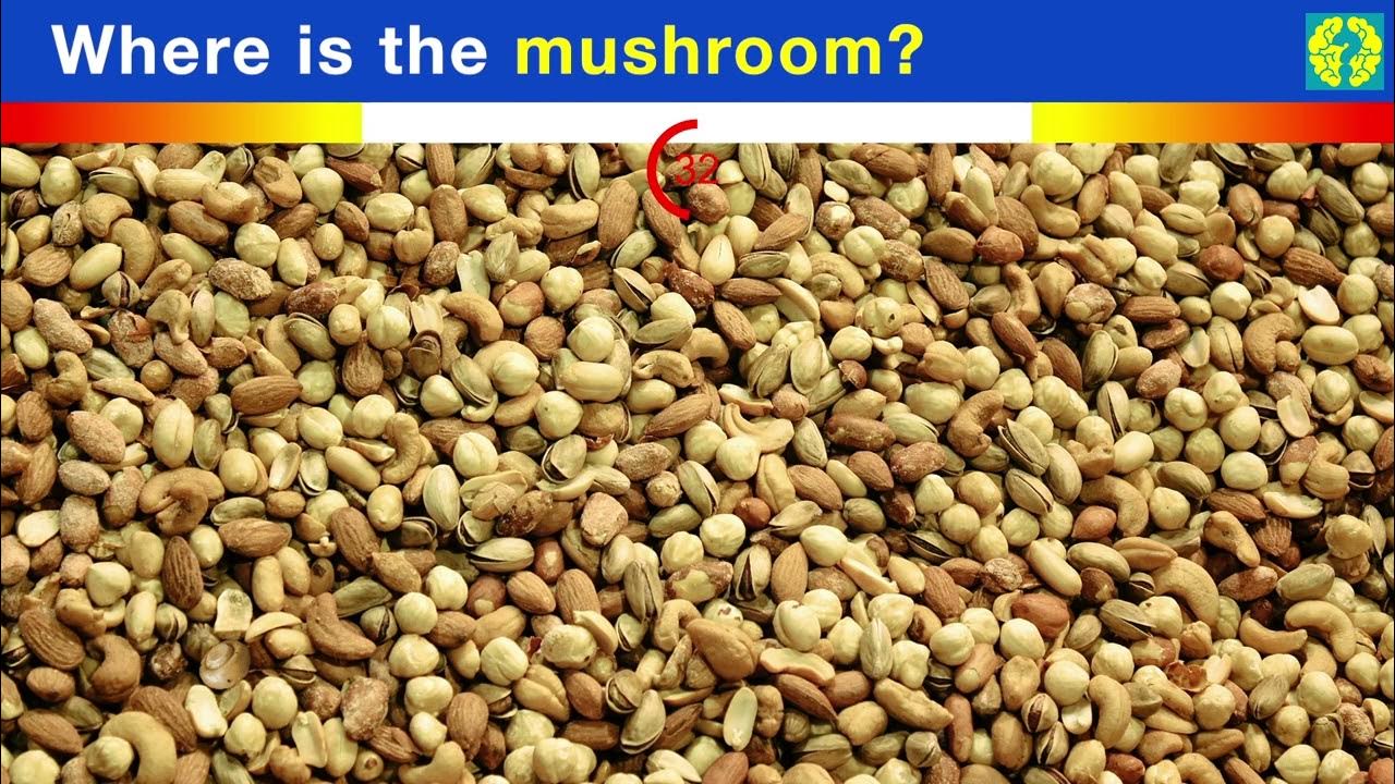 Find the Food Game ! Can you find the hidden foods? - YouTube