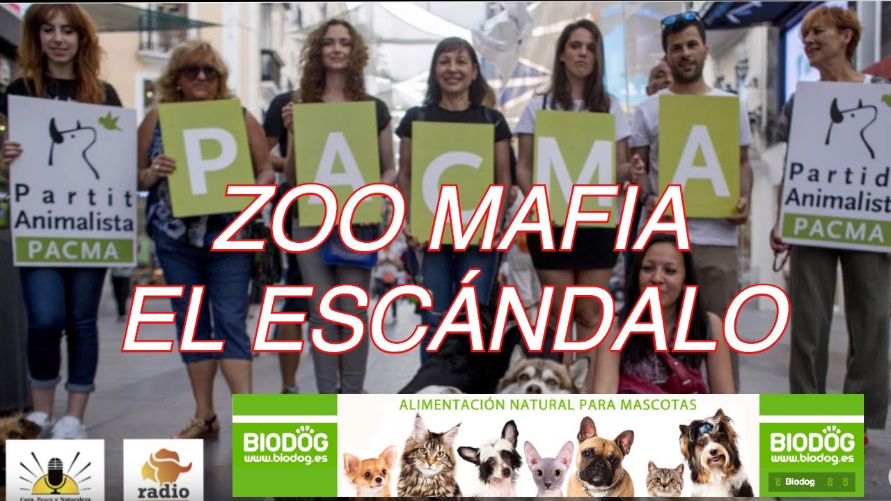 Zoo Mafia, un servicio en estado de alarma. Un escandalo que todos ...